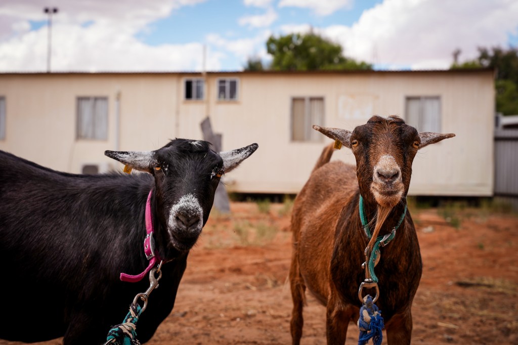 About us – Bedourie Hotel