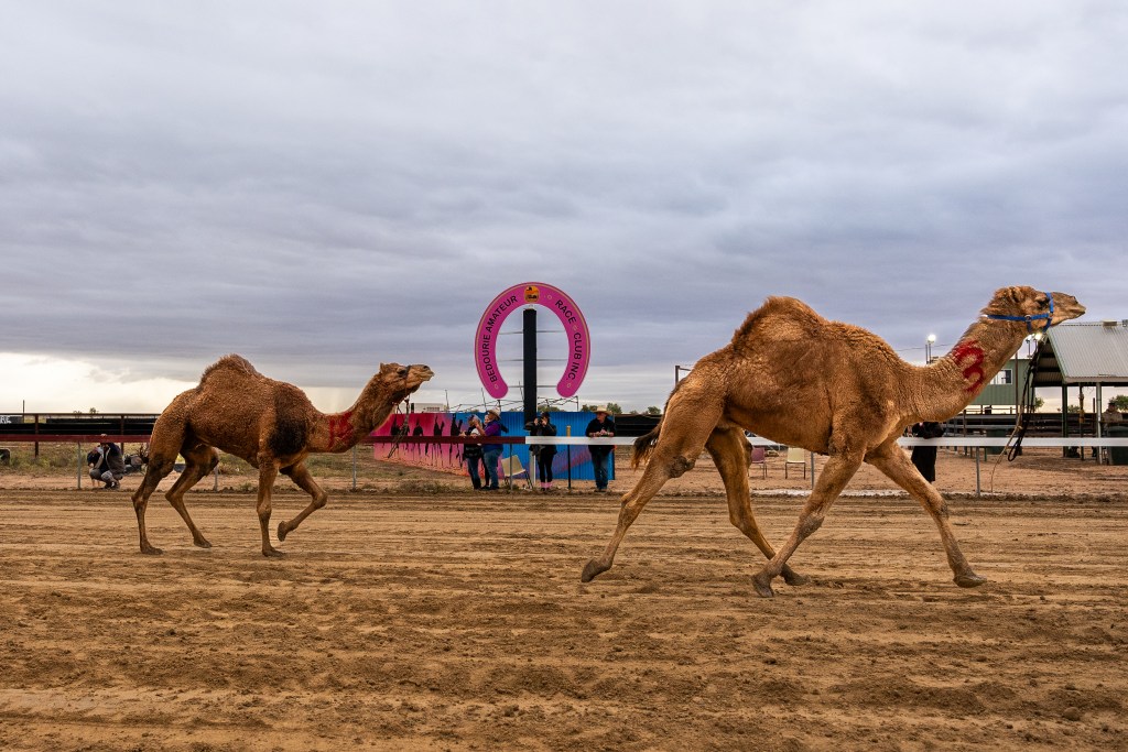 Gallery – Bedourie Hotel